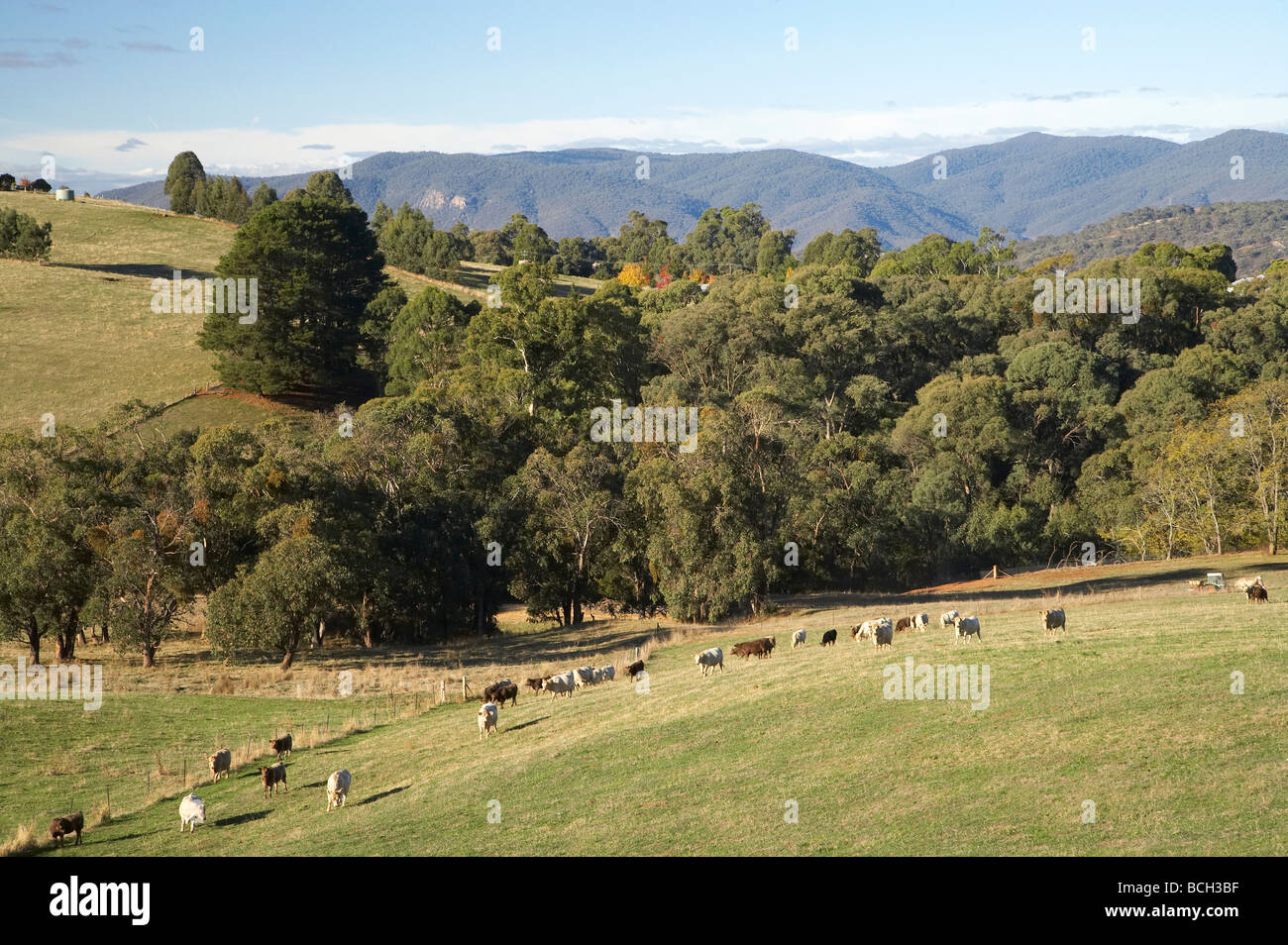 Australian farmland hi-res stock photography and images - Alamy