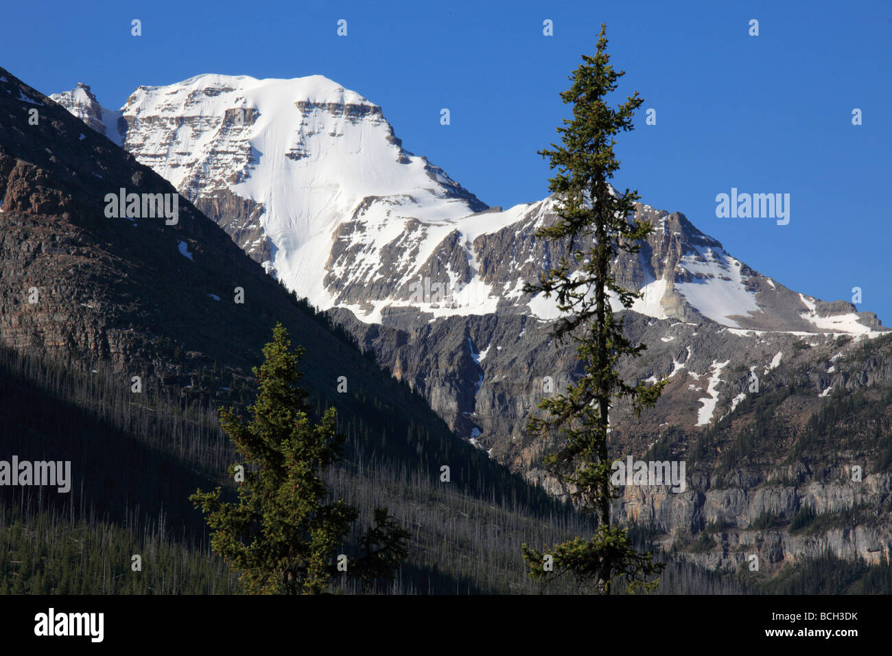 Kootenay national park hi-res stock photography and images - Alamy