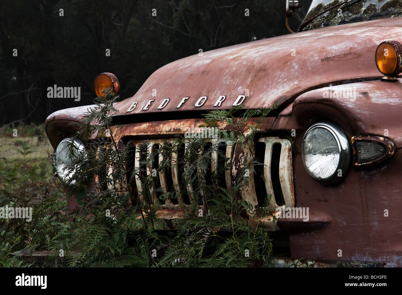 Rusty ute hi-res stock photography and images - Alamy