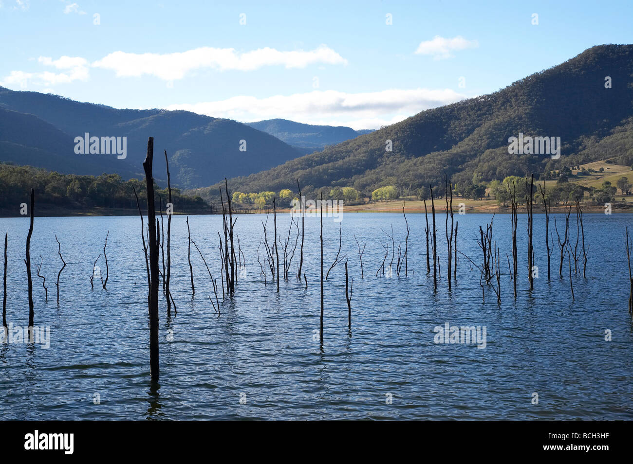 Drowned Trees Jounama Pondage Snowy Mountains New South Wales Australia ...