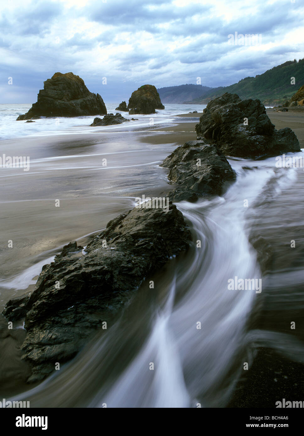 Point Reyes National Sea Shore, California Stock Photo - Alamy