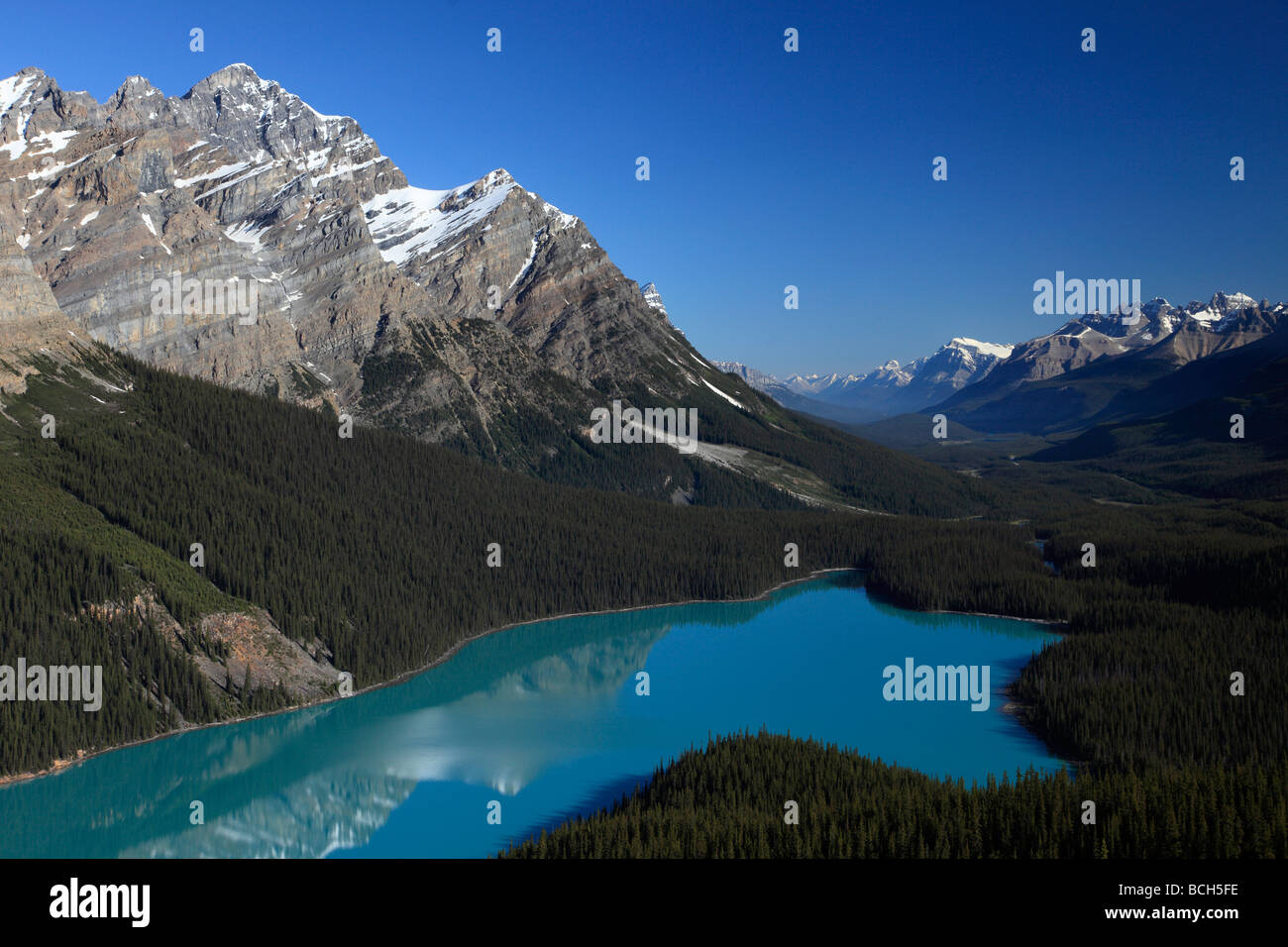Mount Patterson High Resolution Stock Photography and Images - Alamy