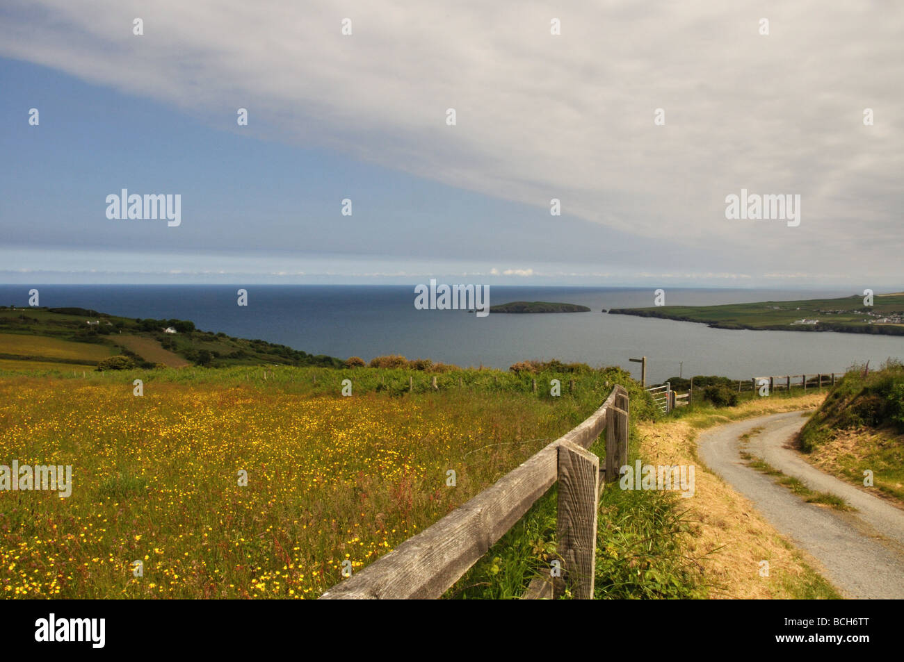 Cardigan Island Pembrokeshire Coastal Path Stock Photo - Alamy