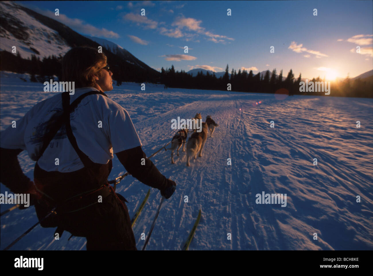 Jouring hi-res stock photography and images - Alamy