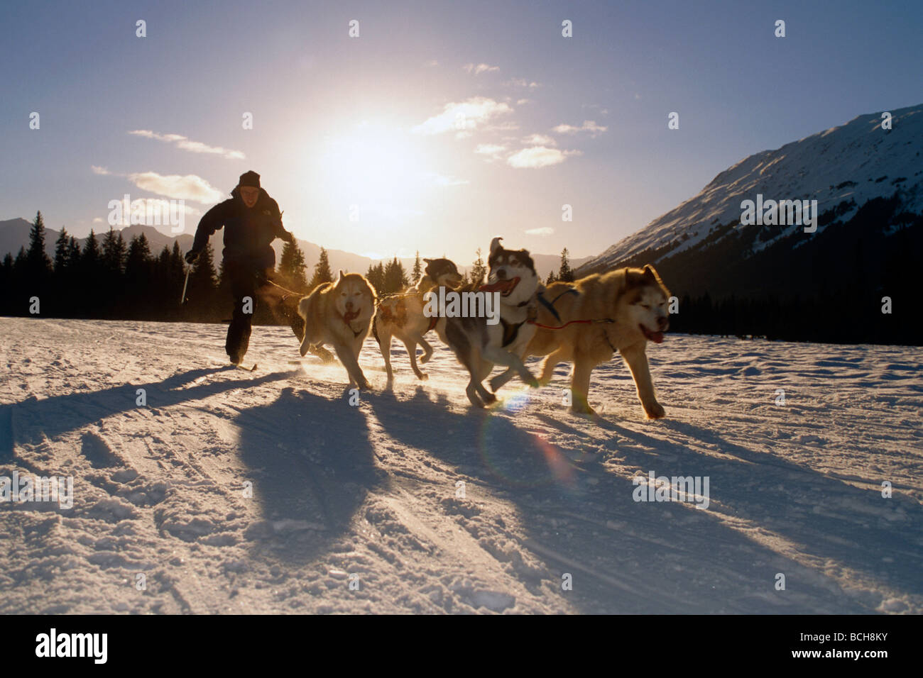 Jouring hi-res stock photography and images - Alamy