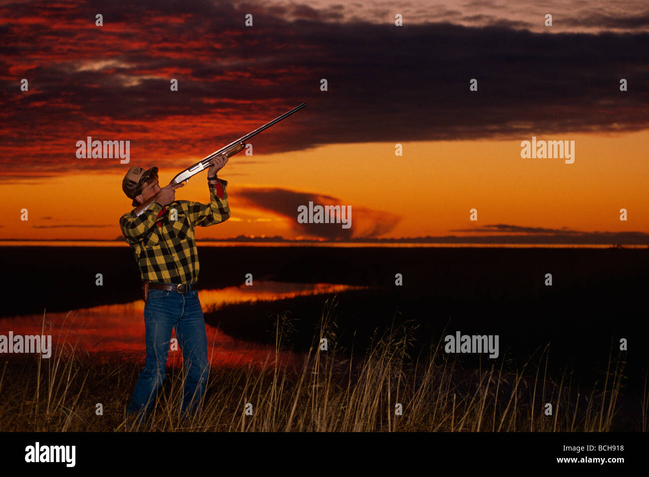 Duck hunter with shotgun sunset Southcentral Alaska Stock Photo - Alamy