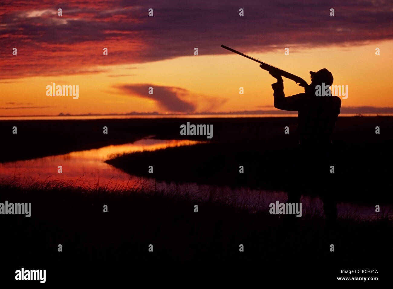 Duck hunter with shotgun sunset Southcentral Alaska Stock Photo - Alamy