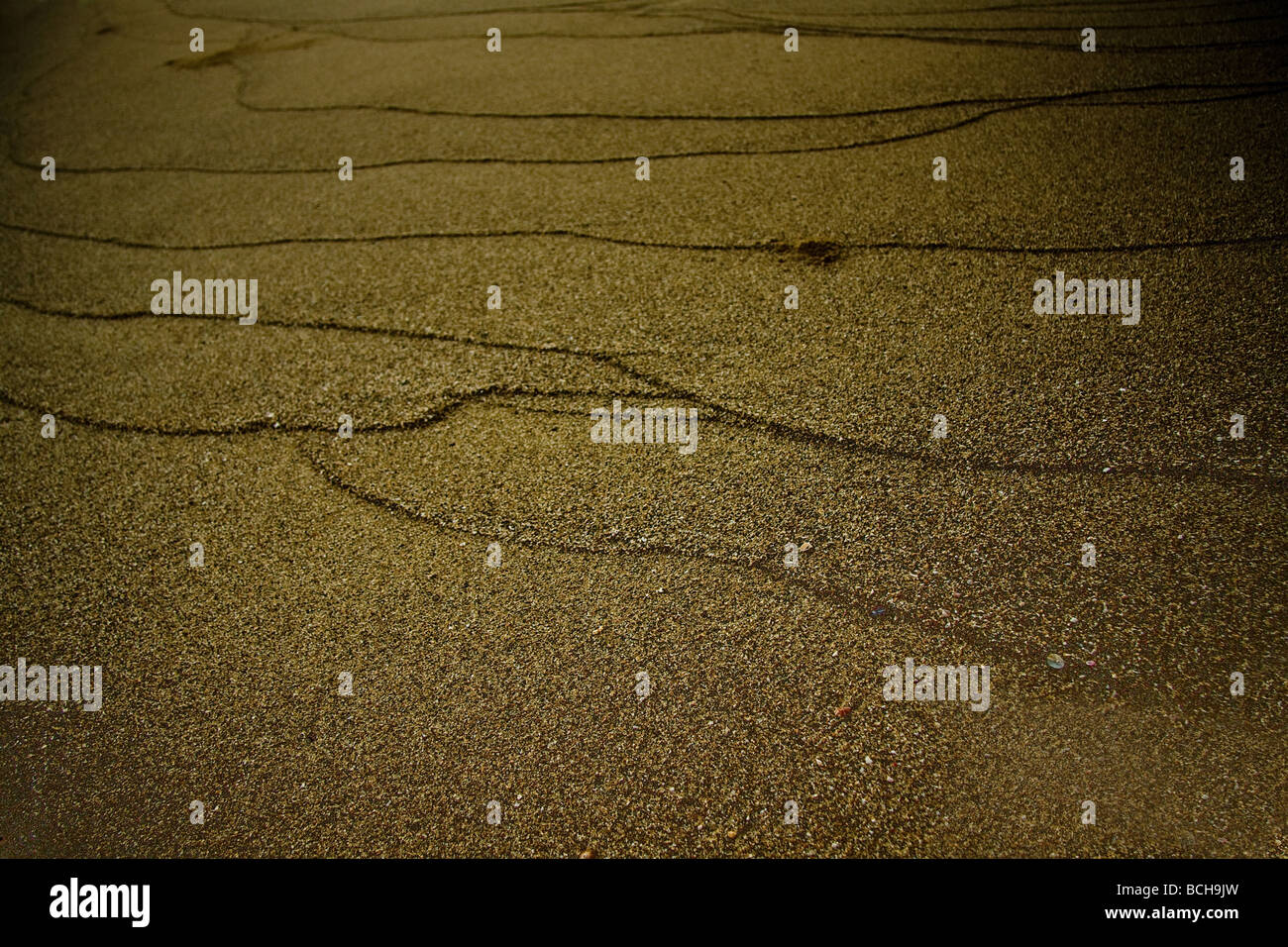 The beaches of Playa Grande at sunset showing the long, lined patterns ...