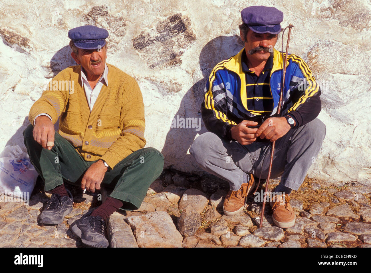 Mule driver hi-res stock photography and images - Alamy