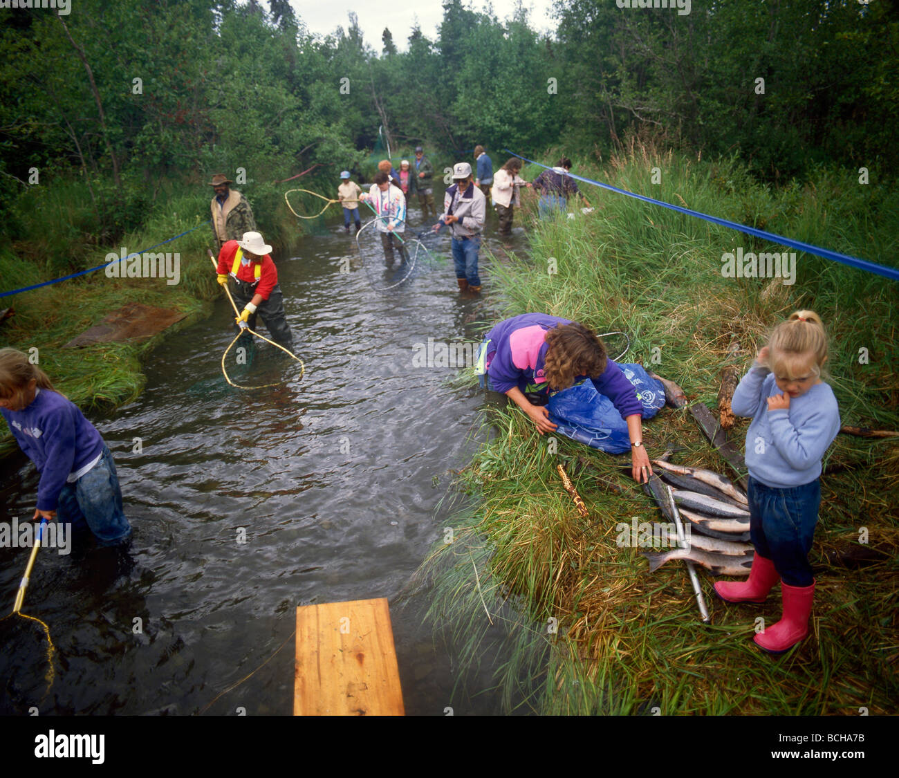 Alaskans Dip Net for Salmon Hidden Creek Kenai NWR AK summer scenic ...