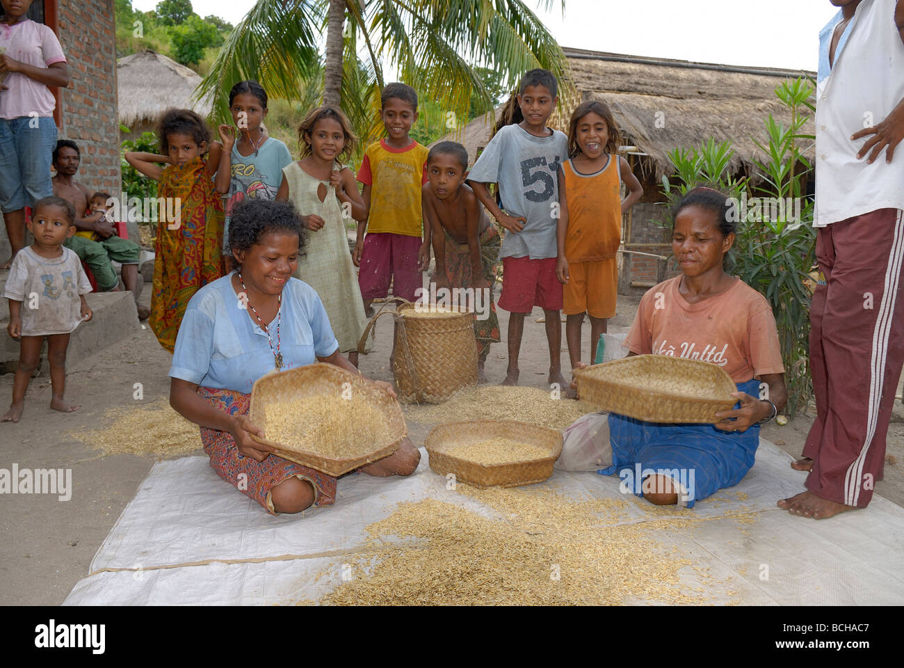 Women sift Rice on Pantar Island Alor Archipelago Lesser Sunda Islands ...