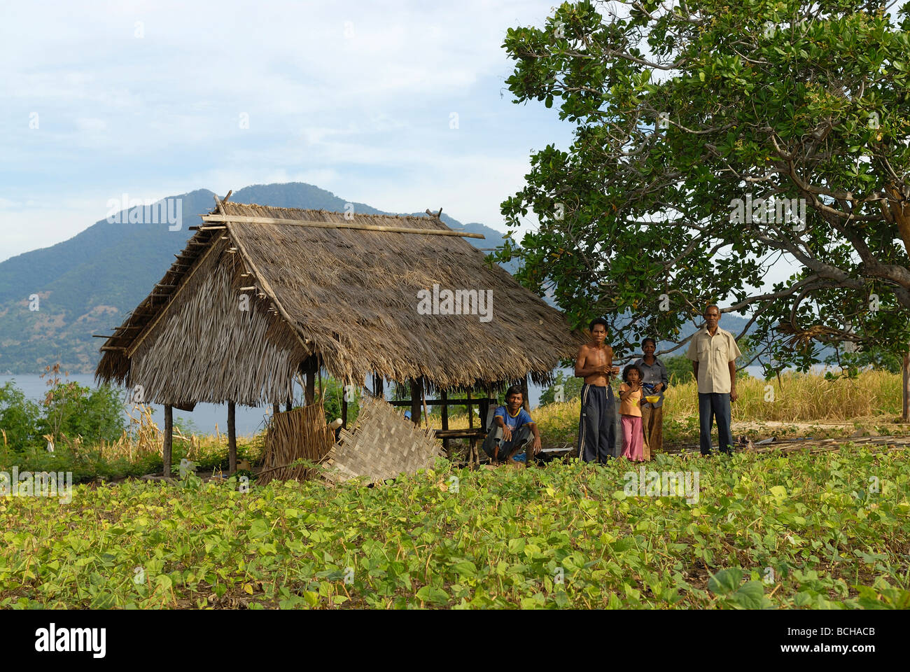 Farmer on Pantar Island Alor Archipelago Lesser Sunda Islands Indonesia ...