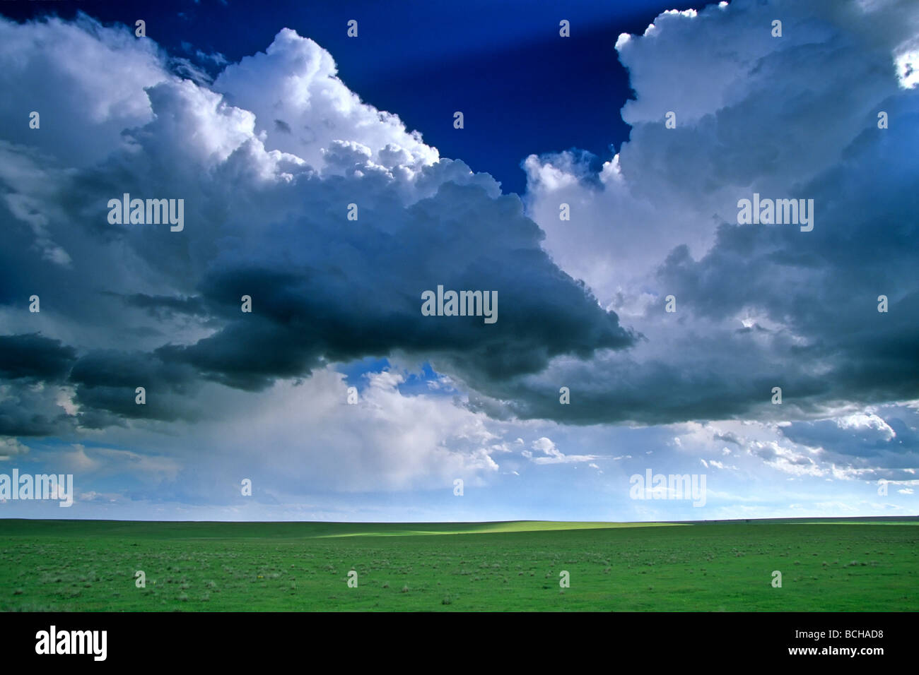 Cumulus clouds over prairie hi-res stock photography and images - Alamy