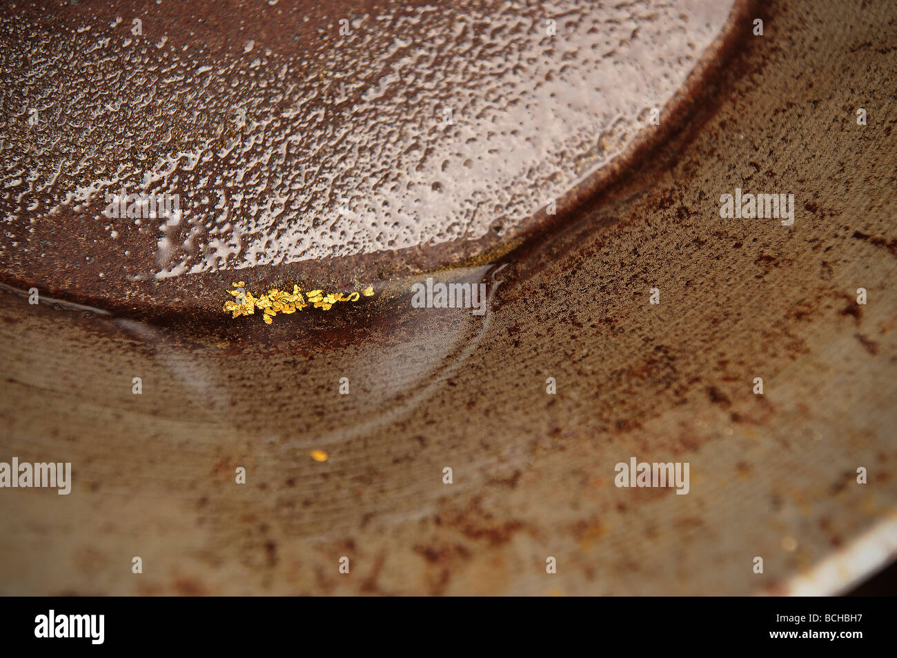 Gold panning hi-res stock photography and images - Alamy