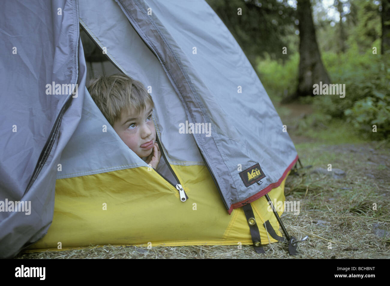 Child Poking Head Out Tent Door Hope Alaska Summer SC Stock Photo - Alamy