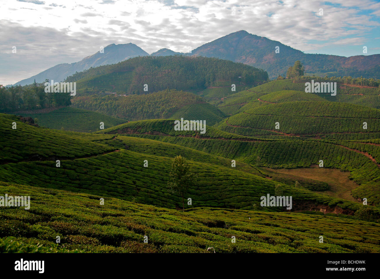 Western Ghats of India Stock Photo - Alamy
