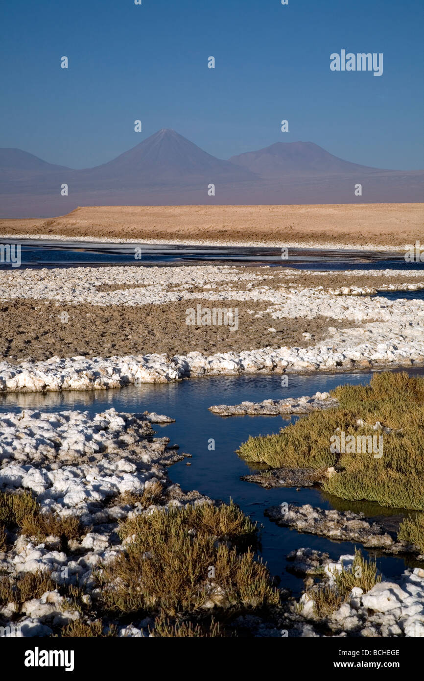 Cejar Ponds Atacama Salt Lake Atacama Desert Chile Stock Photo - Alamy