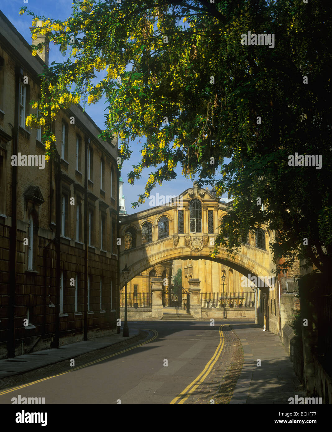 Bridge of Sighs in Oxford. Photo taken in New College Lane with a ...