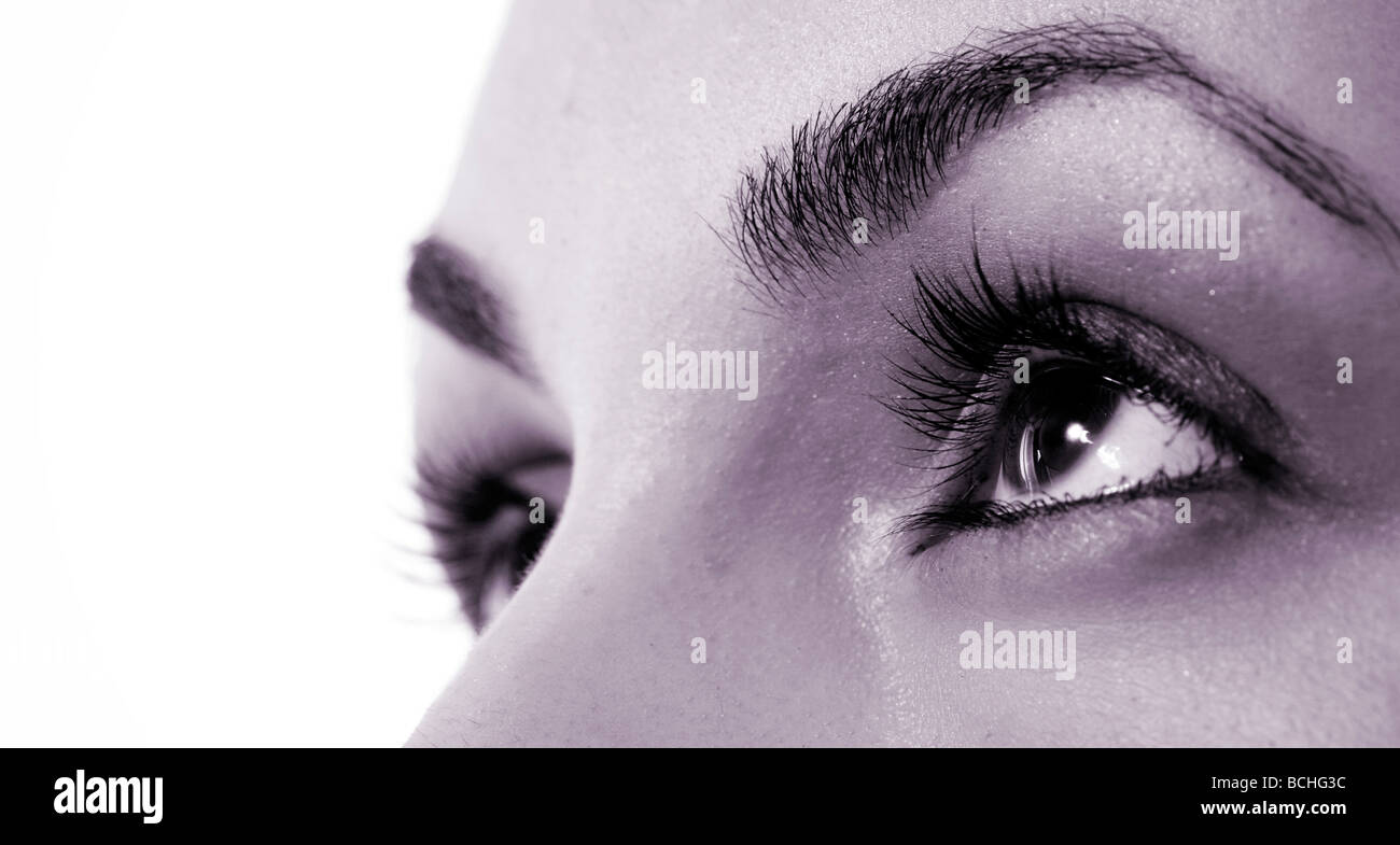 Macro image of a brown eye; Isolated on white Stock Photo - Alamy