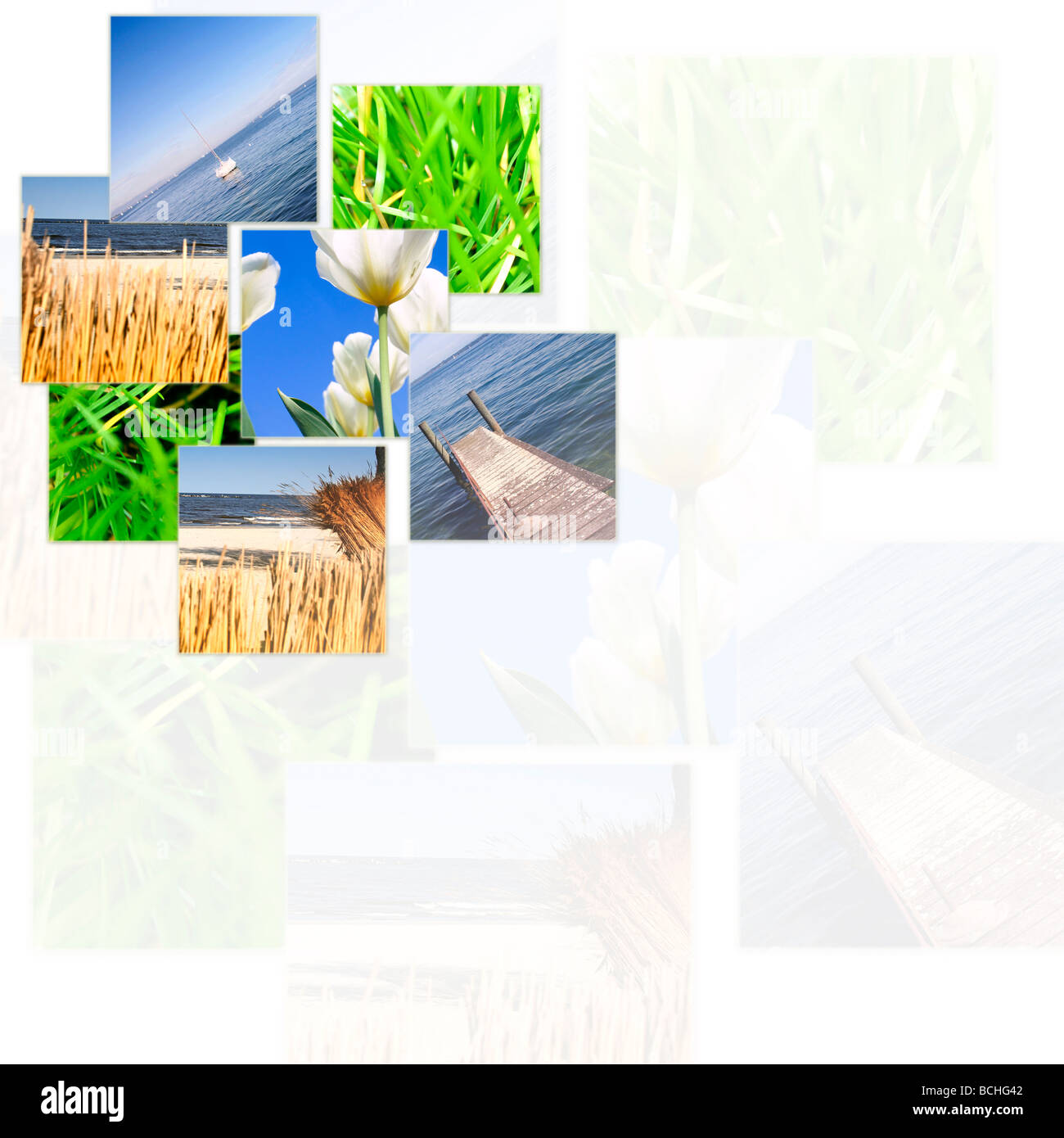 Colorful nature collage made from beauty photographs Stock Photo - Alamy