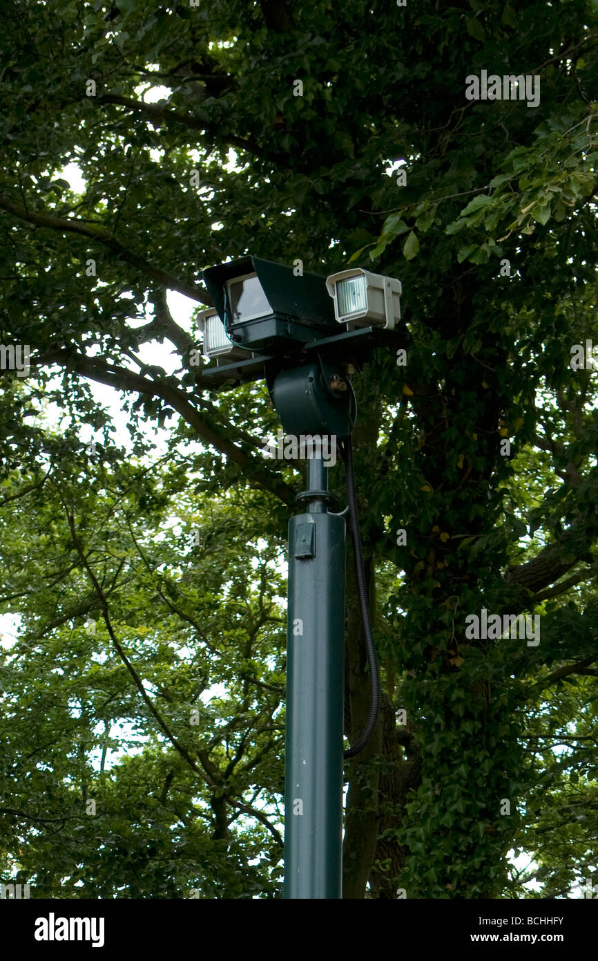 CCTV Surveillance Video Security Camera in the trees and painted green ...