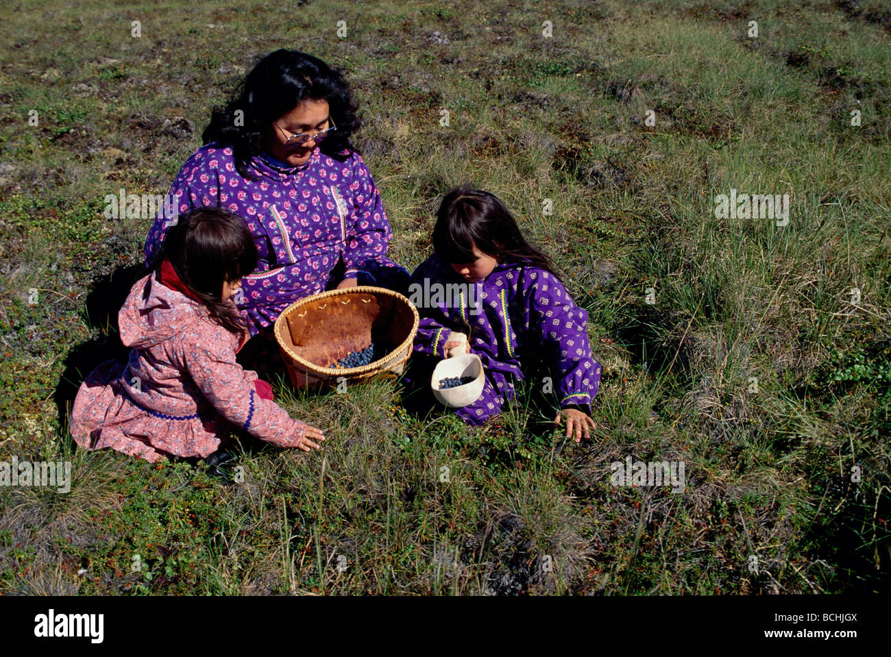 Native Americans Gathering Berries