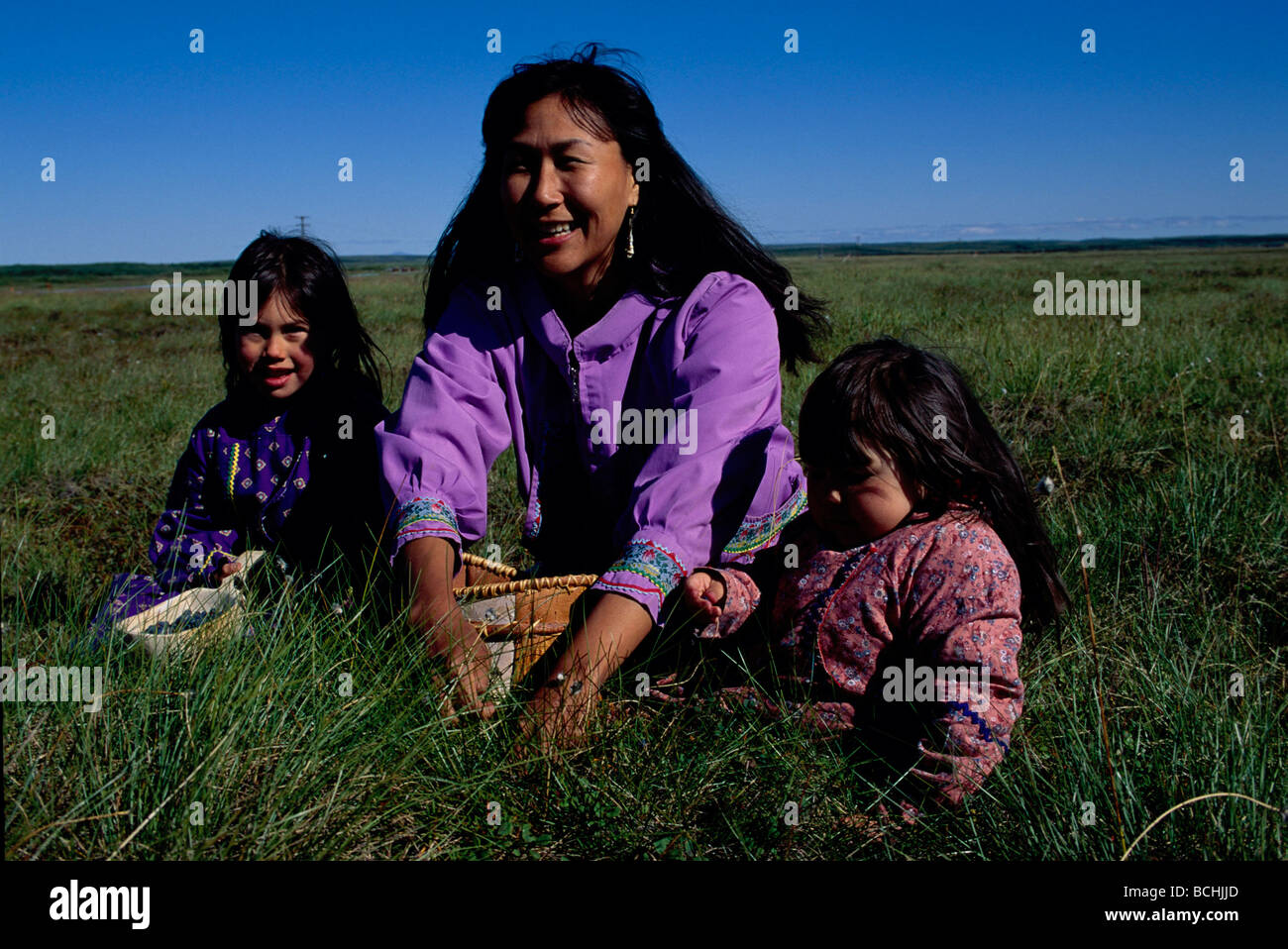 Berry picking alaska hi-res stock photography and images - Alamy