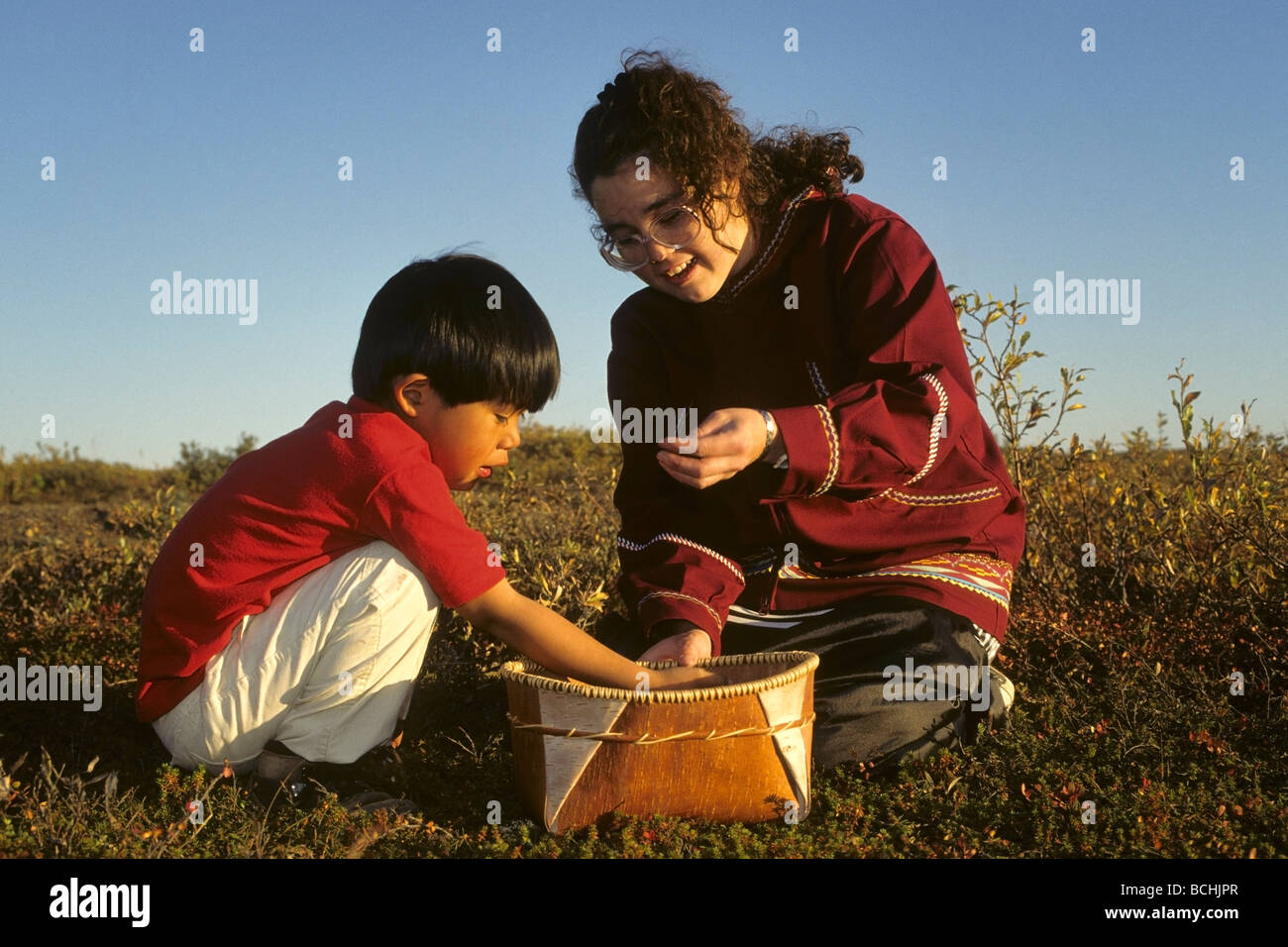 Alaska native berry picking hi-res stock photography and images - Alamy
