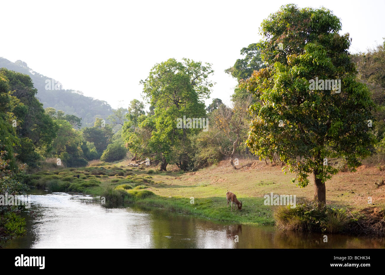 Rural india scene hi-res stock photography and images - Alamy