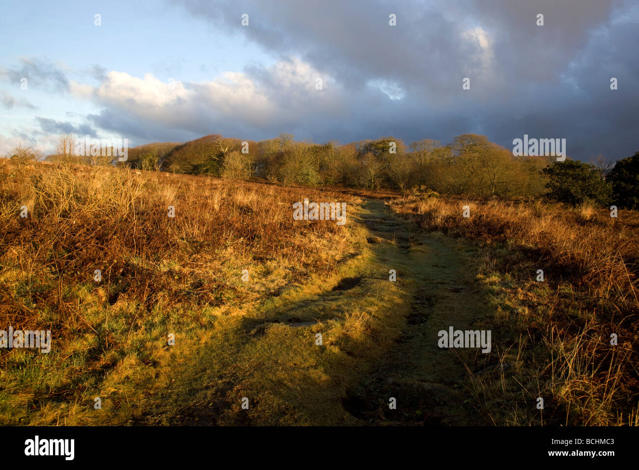 path on godolphin hill early morning cornwall Stock Photo - Alamy
