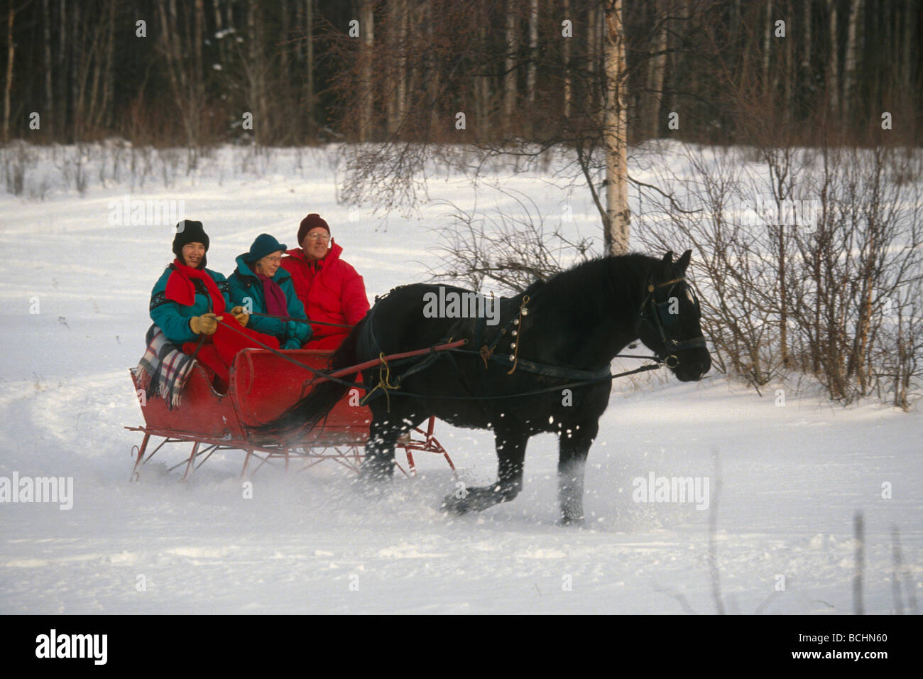 Horse Sleigh Stock Photos & Horse Sleigh Stock Images - Alamy
