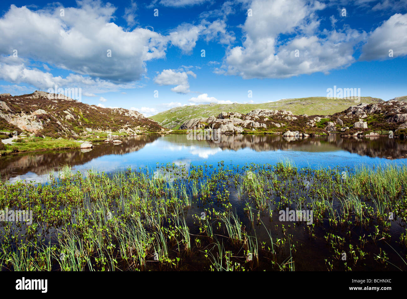 Innominate Tarn On Haystacks High Above Buttermere With 'Great Gable ...