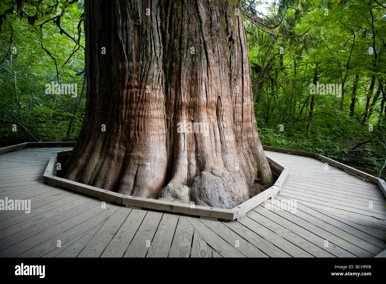 Grove park cascade hi-res stock photography and images - Alamy