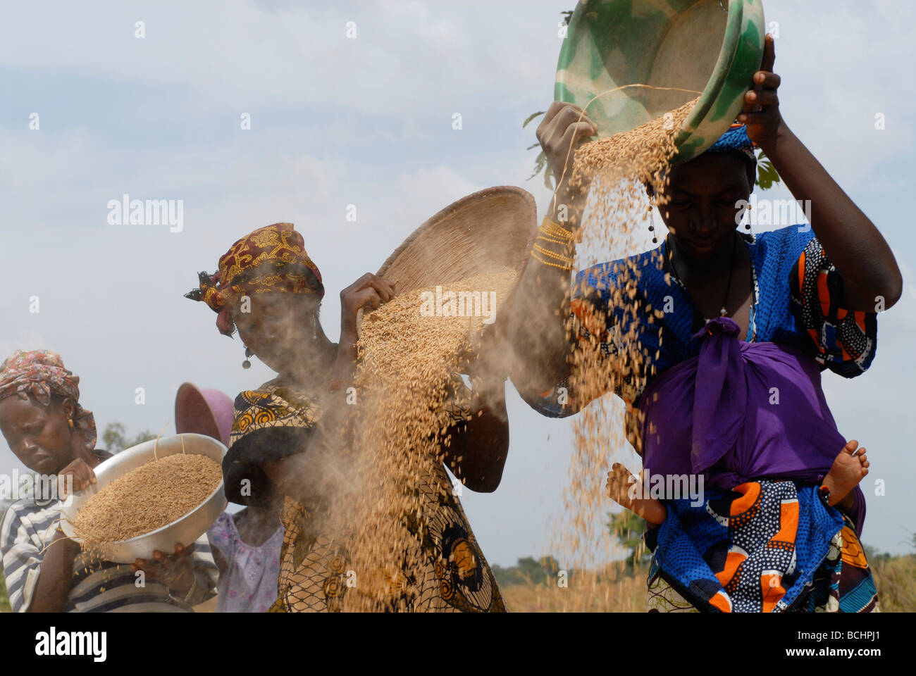 Winnowing hi-res stock photography and images - Alamy
