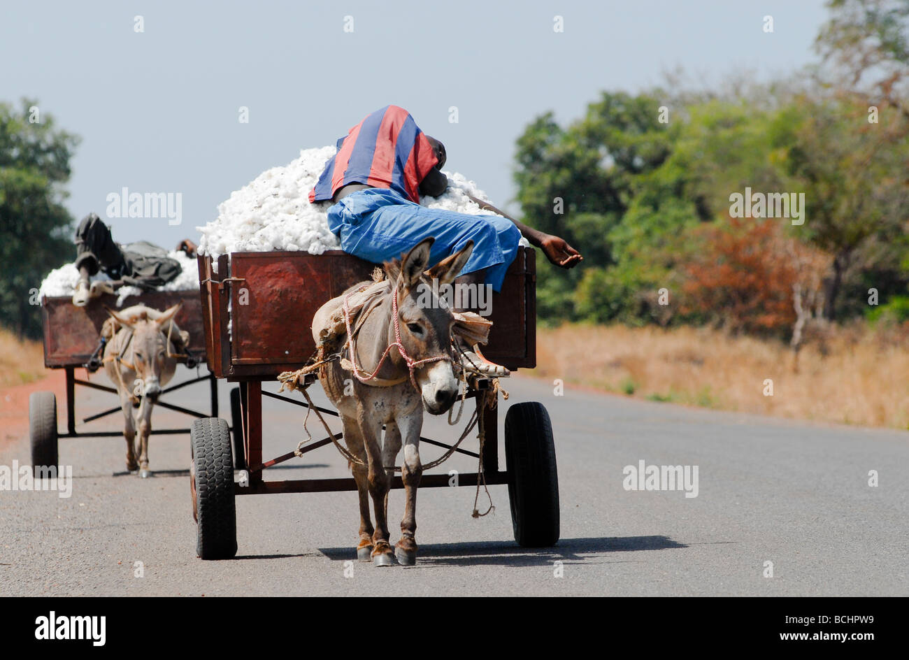 Donkey and driver sleeping hi-res stock photography and images - Alamy