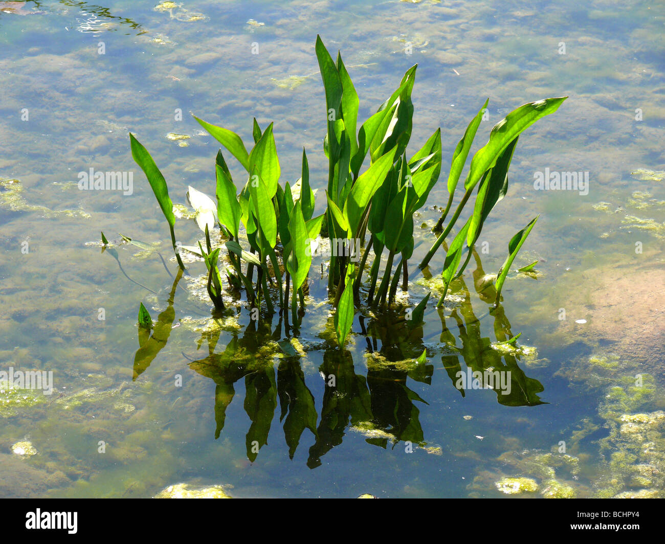 Rain Am Lech High Resolution Stock Photography and Images - Alamy