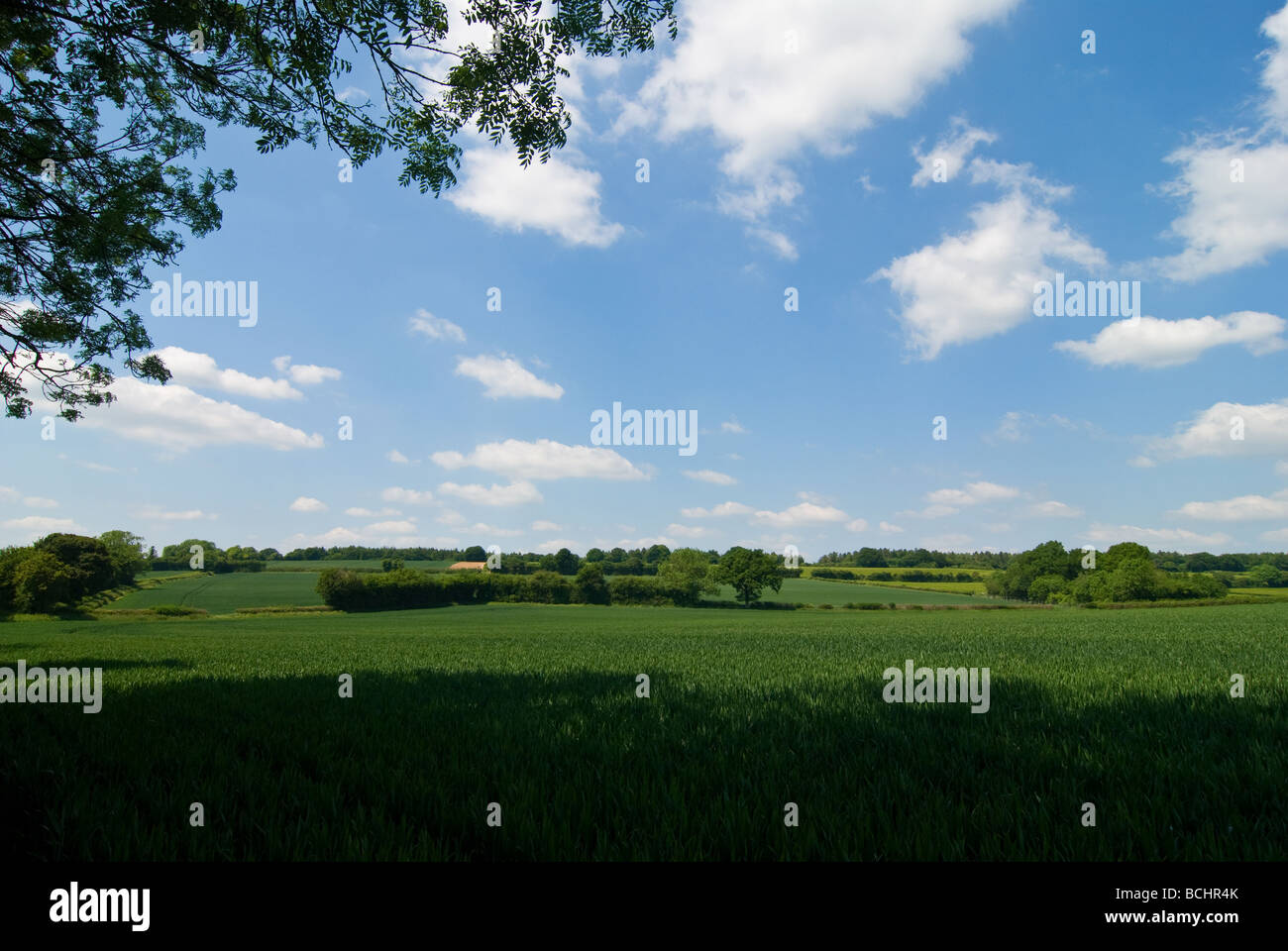 Bramdean hampshire hi-res stock photography and images - Alamy