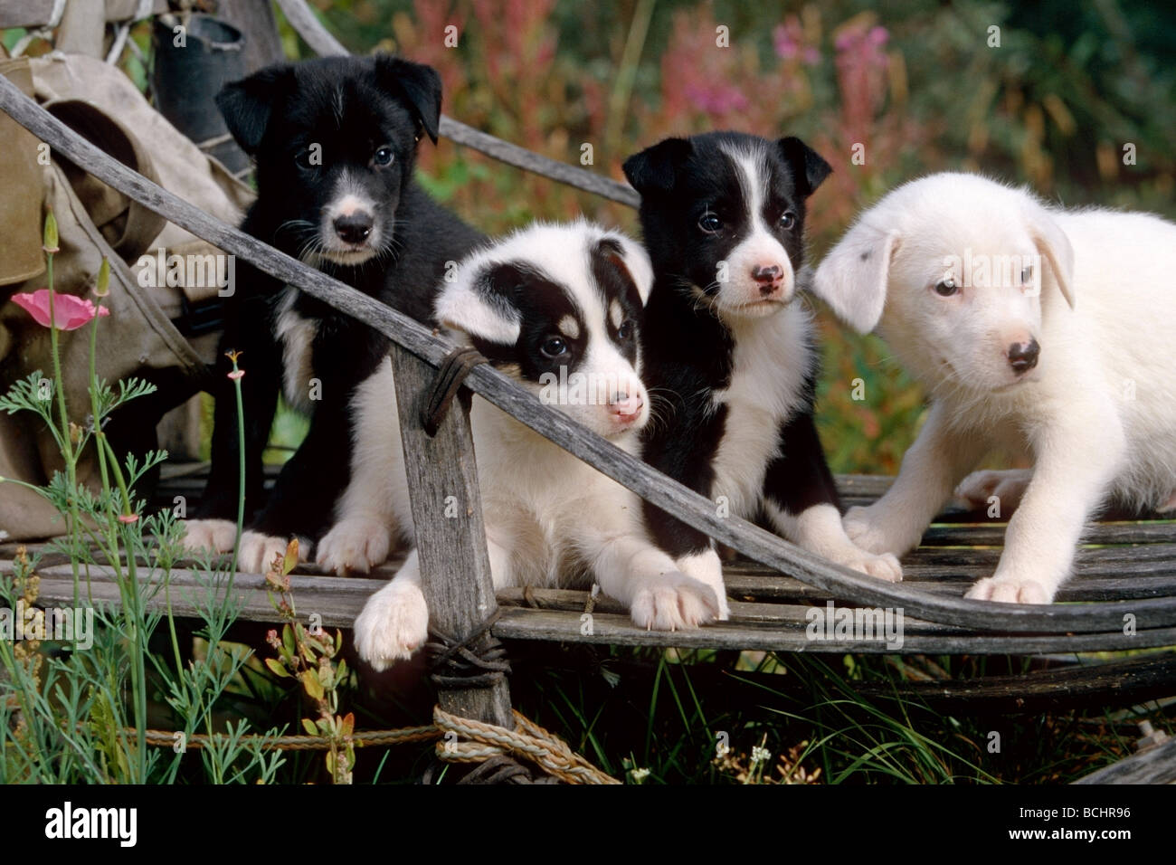 031207old High Resolution Stock Photography and Images - Alamy