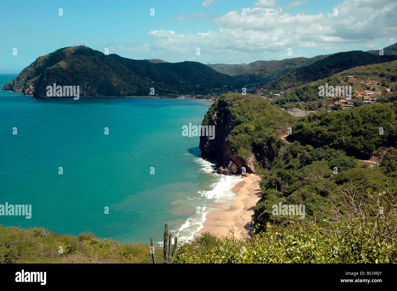 Exploded view tree hi-res stock photography and images - Alamy