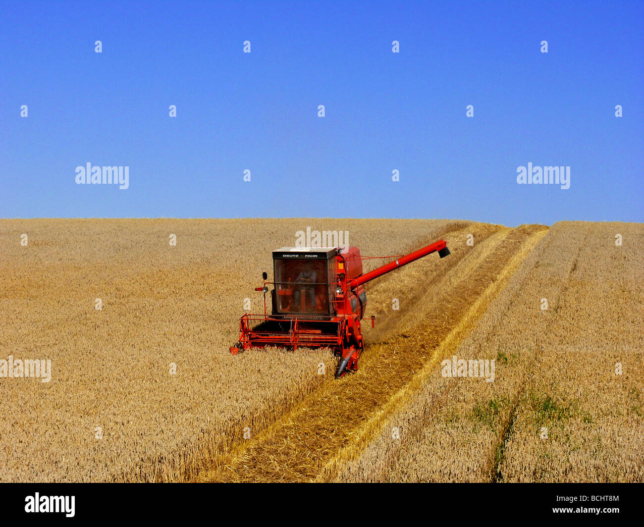 Growing wheat in germany hi-res stock photography and images - Alamy