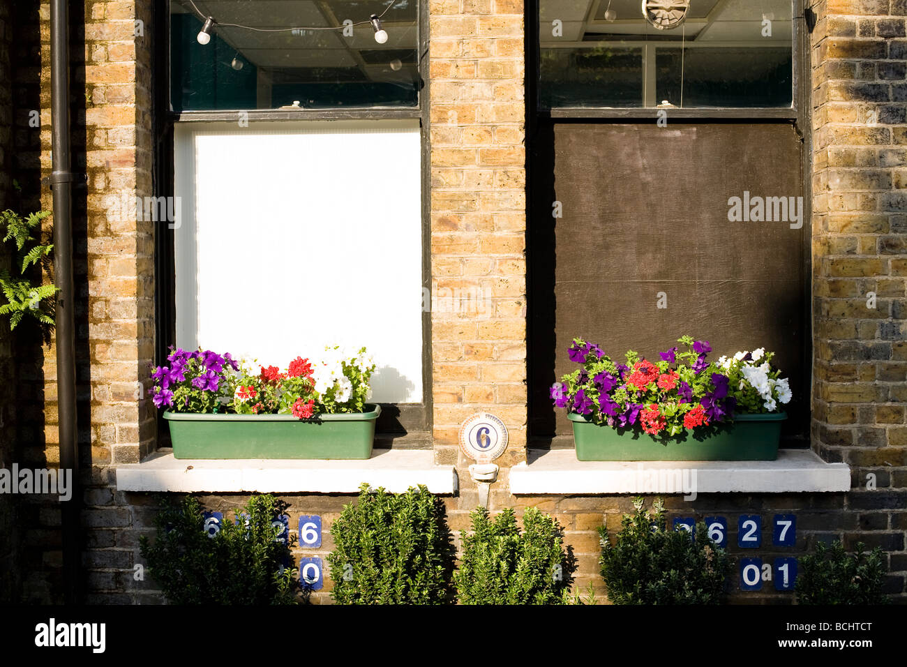 window boxes in front of a house Stock Photo - Alamy
