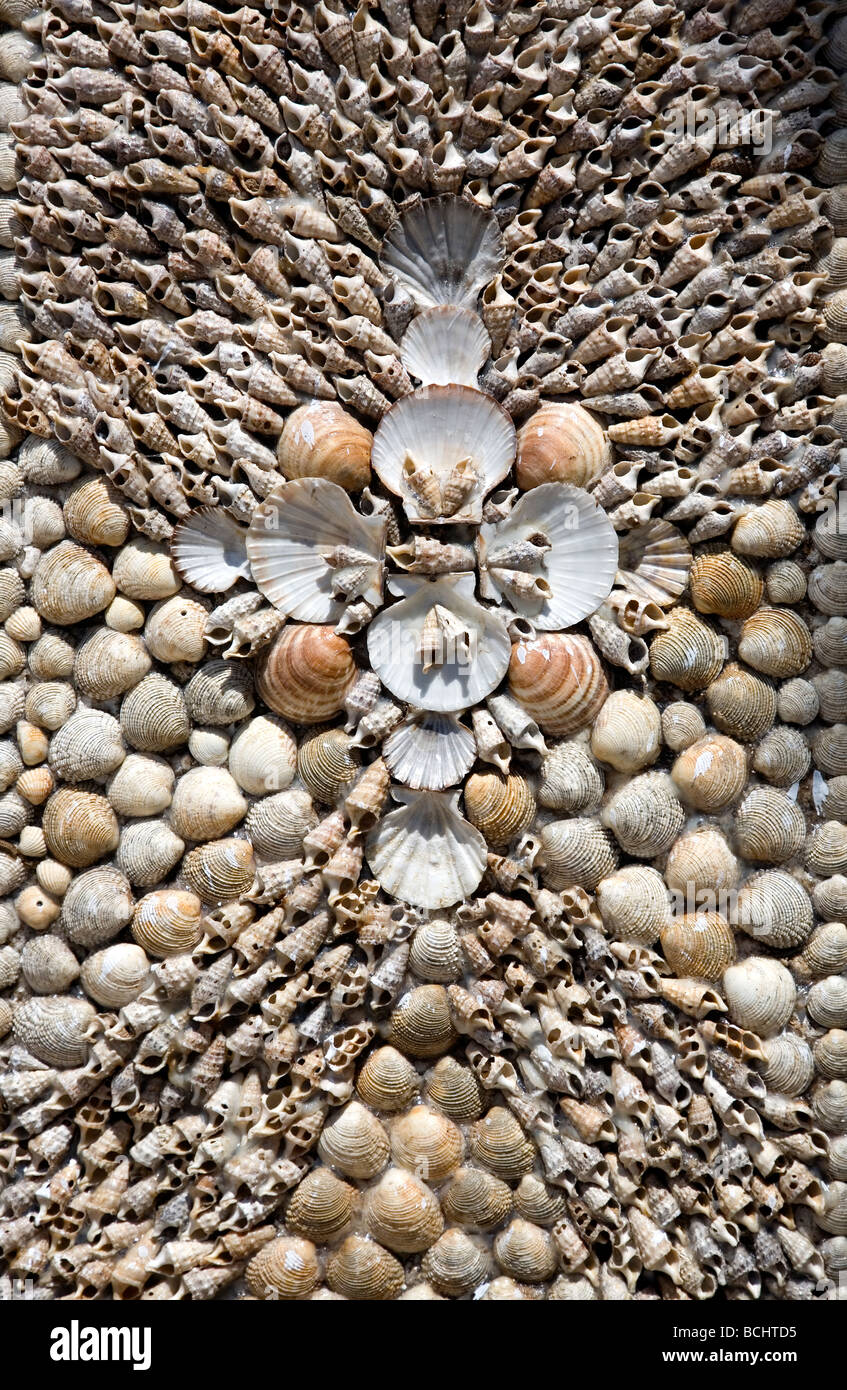 A shell collage Stock Photo - Alamy