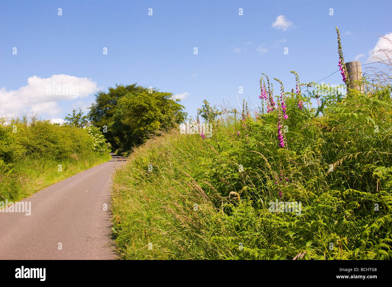 Greenlane hi-res stock photography and images - Alamy