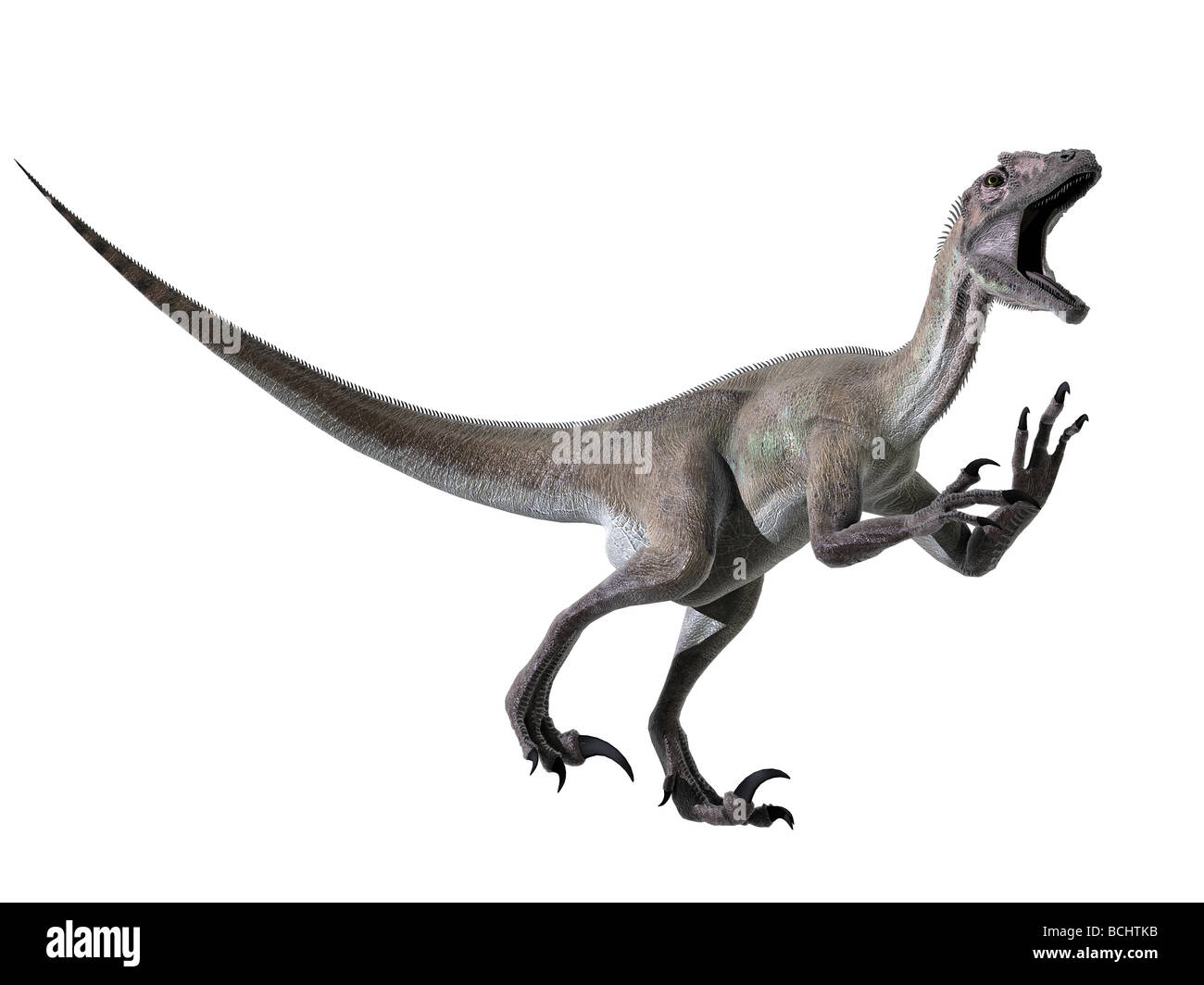Dromaeosaurs hi-res stock photography and images - Alamy