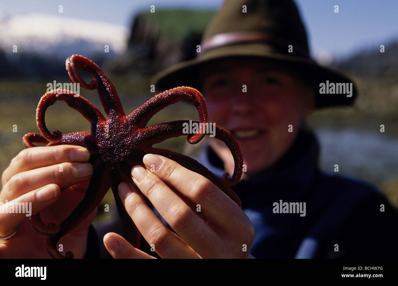 Woman Holding Starfish on Yukon Island KP Alaska Stock Photo - Alamy