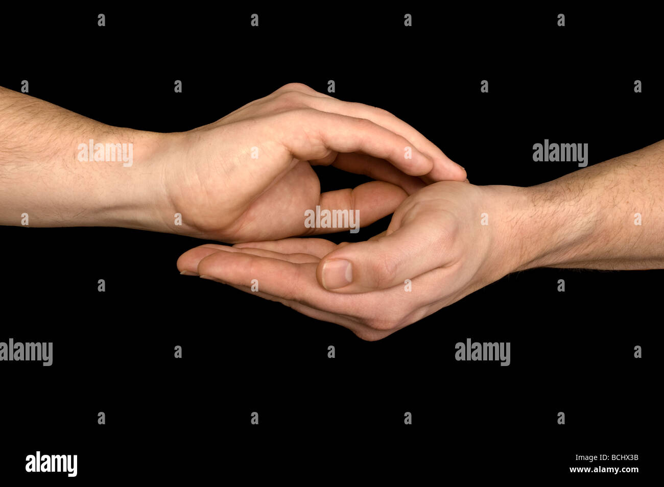 male hands enclosing and encompassing and cupping against black Stock ...