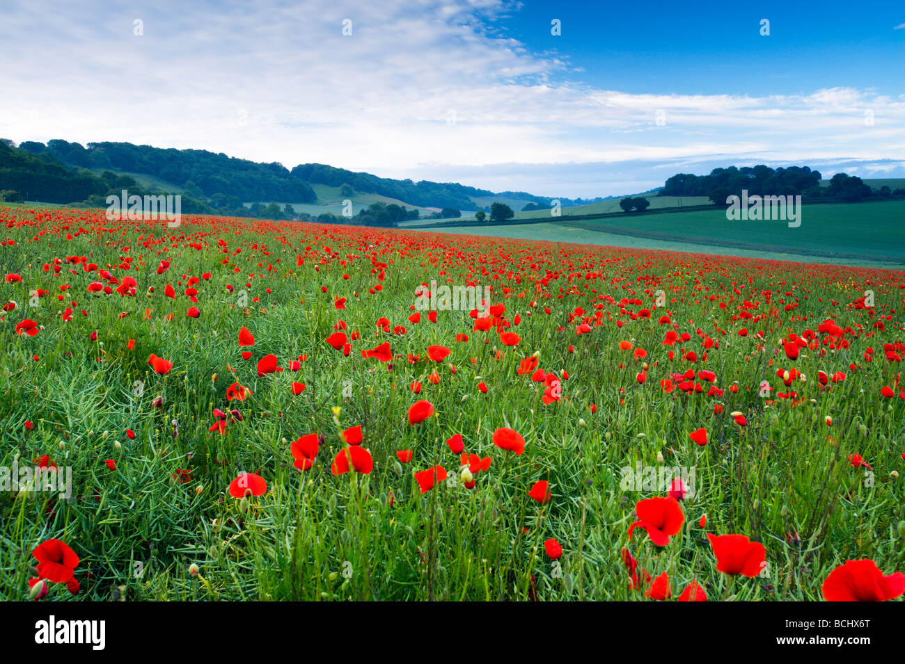 Rolling countryside hi-res stock photography and images - Alamy