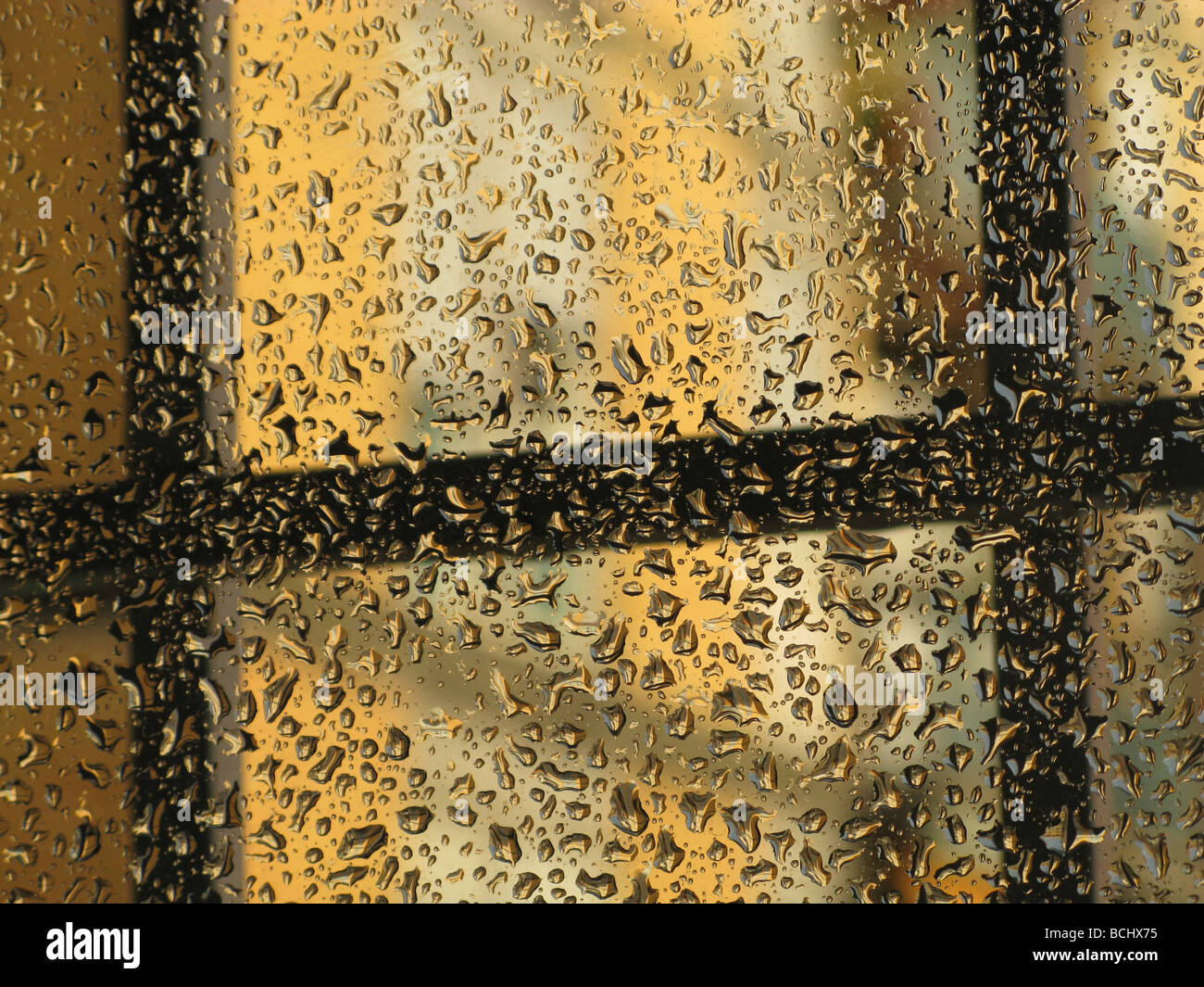 modern buildings seen through rain drops covered window Stock Photo - Alamy