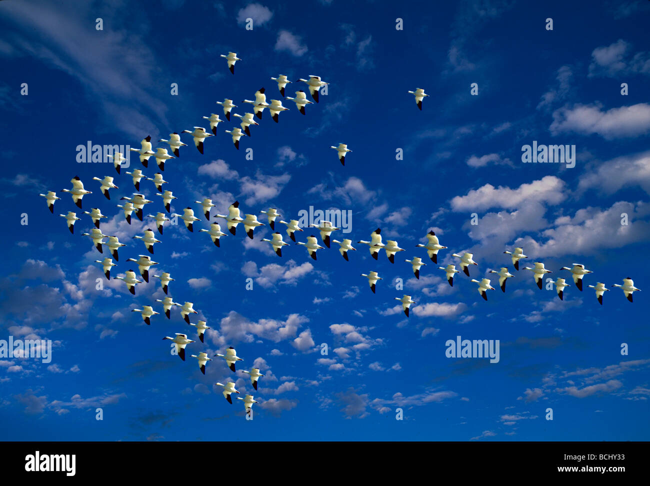 Digital original hi-res stock photography and images - Alamy