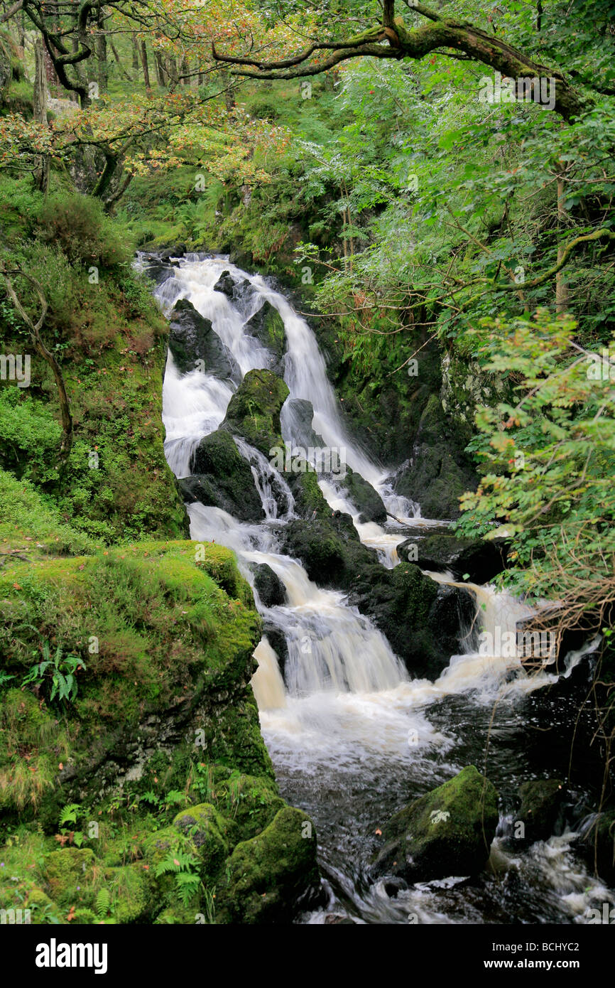 Lodore Waterfalls Beck near Keswick Lake District National Park Cumbria ...
